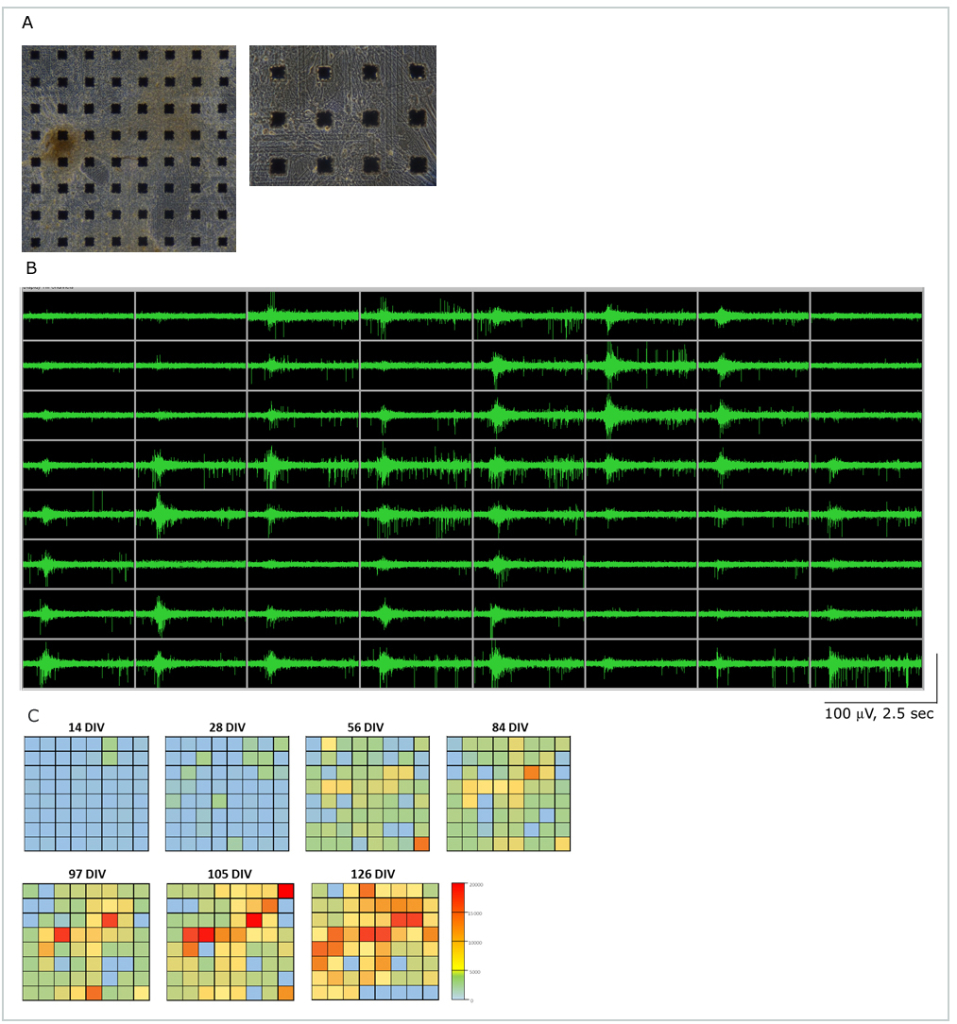 Drug Effects On iPSC-derived Neurons - med64.com